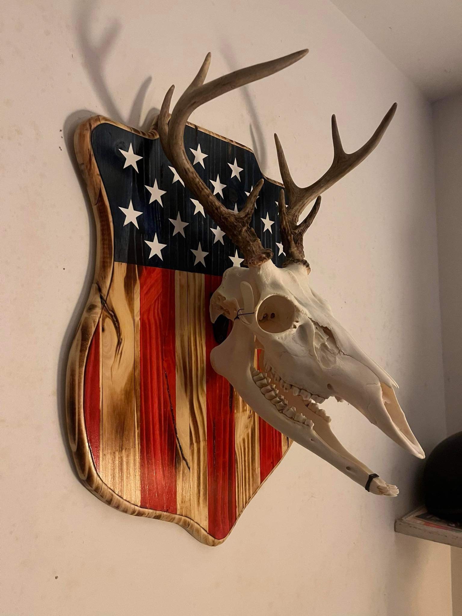 Deer Skull Mount - Etsy