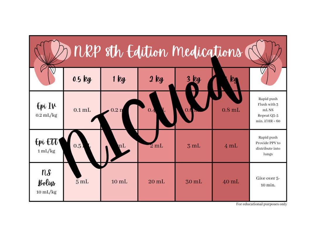 NRP Medication Cheat Sheet/badge Buddy - Etsy