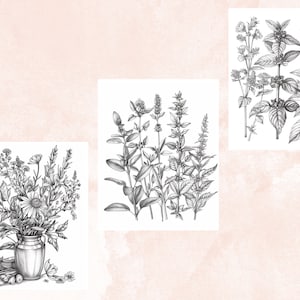 60 Herbs Coloring Book, Printable Enchanted Garden Therapy Coloring ...