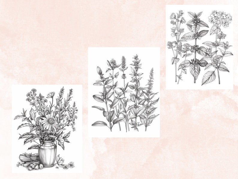 60 Herbs Coloring Book, Printable Enchanted Garden Therapy Coloring ...