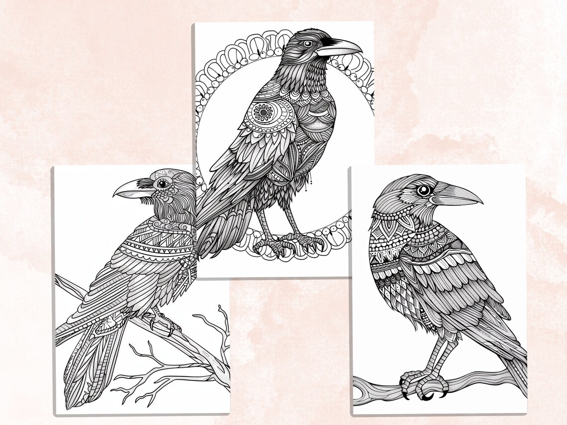 30 Crow Mandala Coloring Book, Printable Stress Relief Patterns ...
