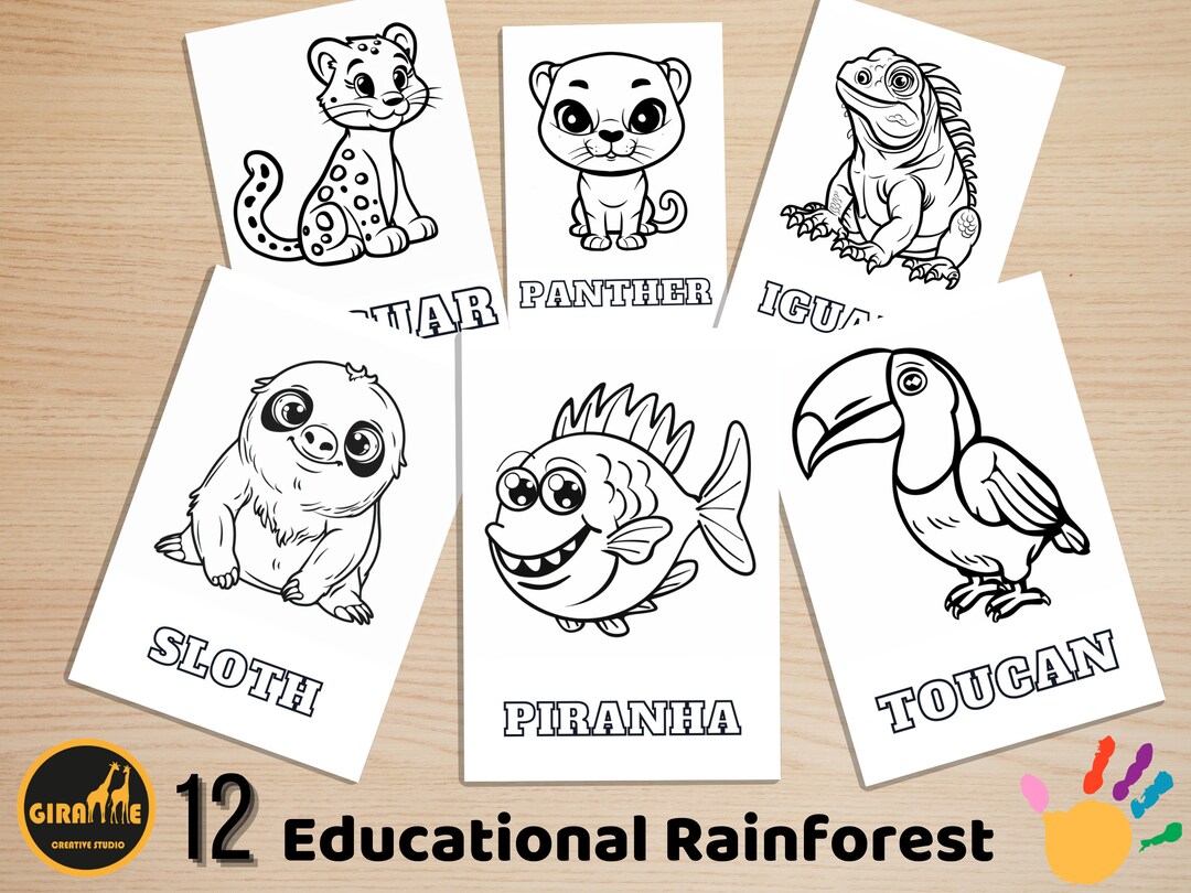 Educational Rainforest Animals Coloring Book, Preschool Activity ...