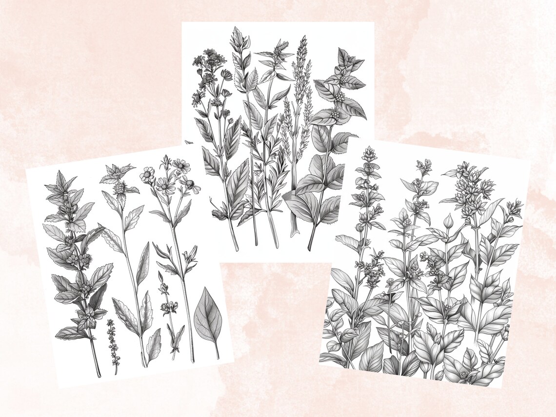 60 Herbs Coloring Book, Printable Enchanted Garden Therapy Coloring ...