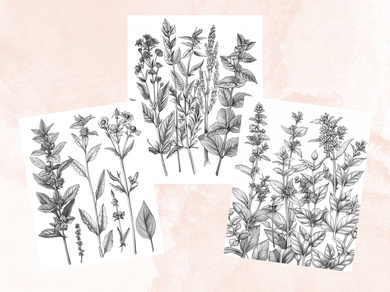 60 Herbs Coloring Book, Printable Enchanted Garden Therapy Coloring ...