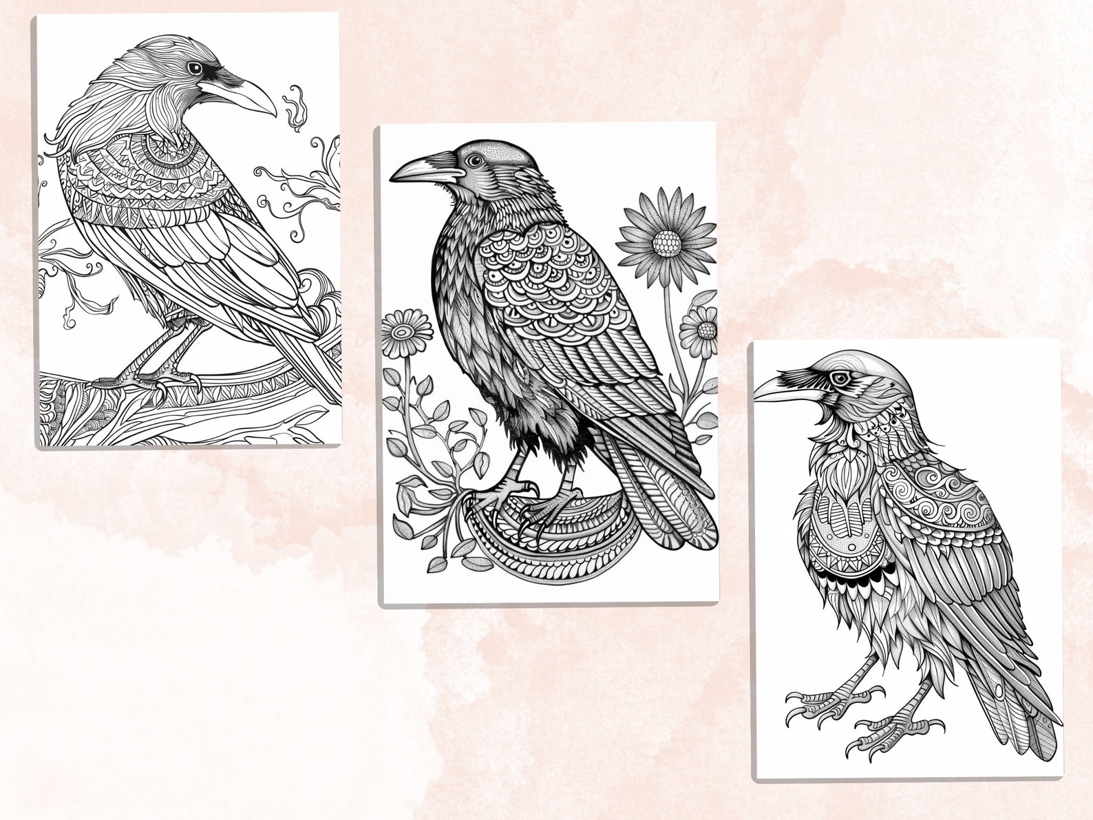 30 Crow Mandala Coloring Book, Printable Stress Relief Patterns ...