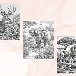 40 Wild Life Scenes Coloring Book, Printable African Jungle Animals ...