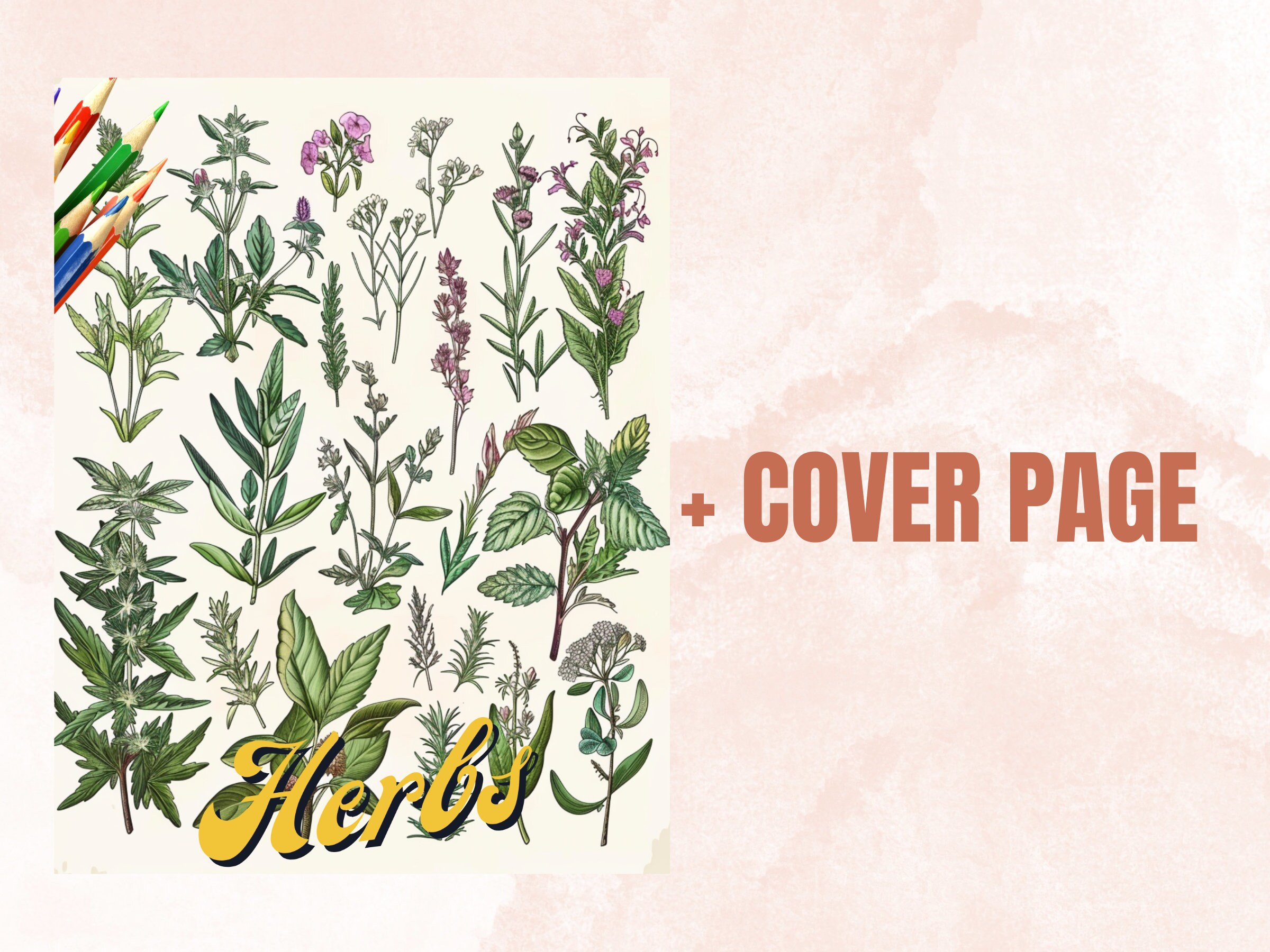60 Herbs Coloring Book, Printable Enchanted Garden Therapy Coloring ...
