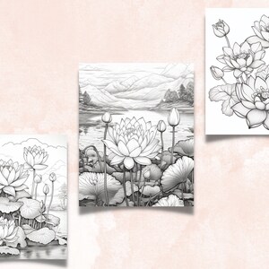 40 Lotus Flowers Coloring Book, Printable PDF, Botanical Floral Plant ...