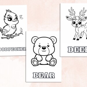 Educational Woodland Animals Coloring Book, Preschool Activity Coloring ...
