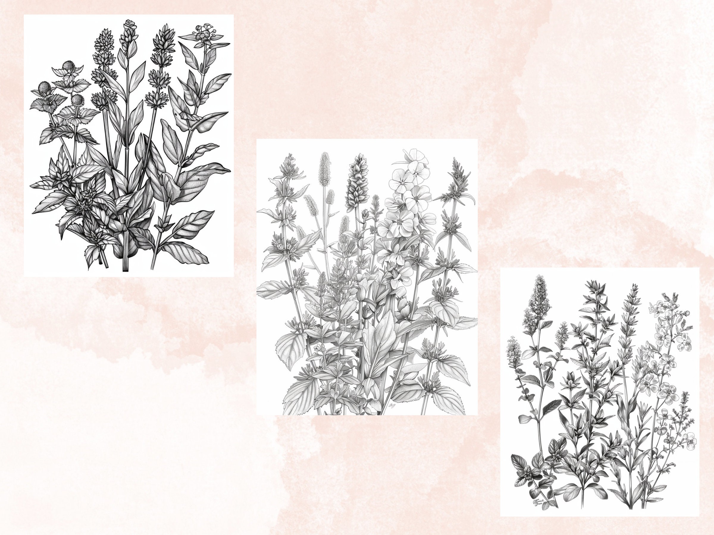 60 Herbs Coloring Book, Printable Enchanted Garden Therapy Coloring ...