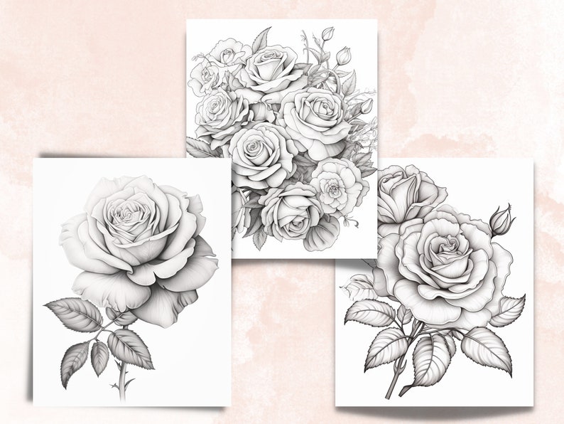 70 Rose Coloring Book, Printable PDF, Botanical Floral Plant Coloring ...