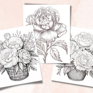 55 Peony Flowers Coloring Book, Printable PDF, Botanical Floral Plant ...