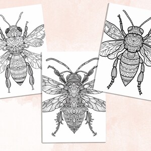 30 Bee Mandala Coloring Book, Printable Stress Relief Patterns Coloring ...