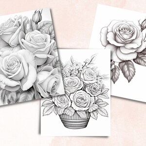 70 Rose Coloring Book, Printable PDF, Botanical Floral Plant Coloring ...