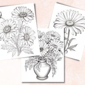 55 Daisy Flowers Coloring Book, Printable PDF, Botanical Floral Plant ...