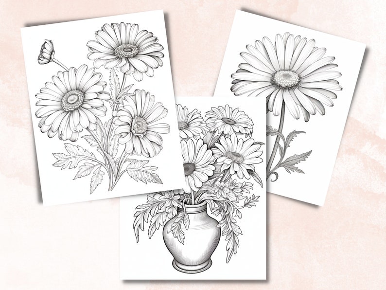 55 Daisy Flowers Coloring Book, Printable PDF, Botanical Floral Plant ...