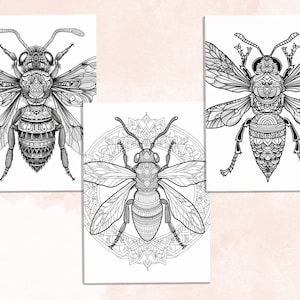 30 Bee Mandala Coloring Book, Printable Stress Relief Patterns Coloring ...