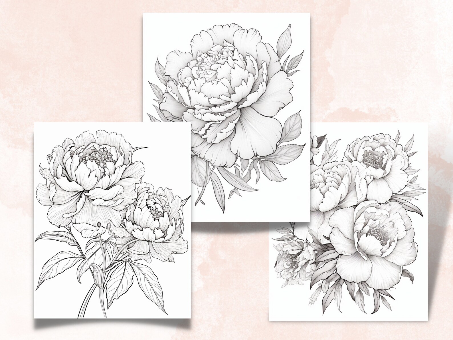 55 Peony Flowers Coloring Book, Printable PDF, Botanical Floral Plant ...