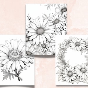 55 Daisy Flowers Coloring Book, Printable PDF, Botanical Floral Plant ...