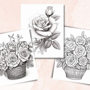 70 Rose Coloring Book, Printable PDF, Botanical Floral Plant Coloring ...