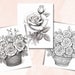 70 Rose Coloring Book, Printable PDF, Botanical Floral Plant Coloring ...