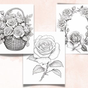 70 Rose Coloring Book, Printable PDF, Botanical Floral Plant Coloring ...