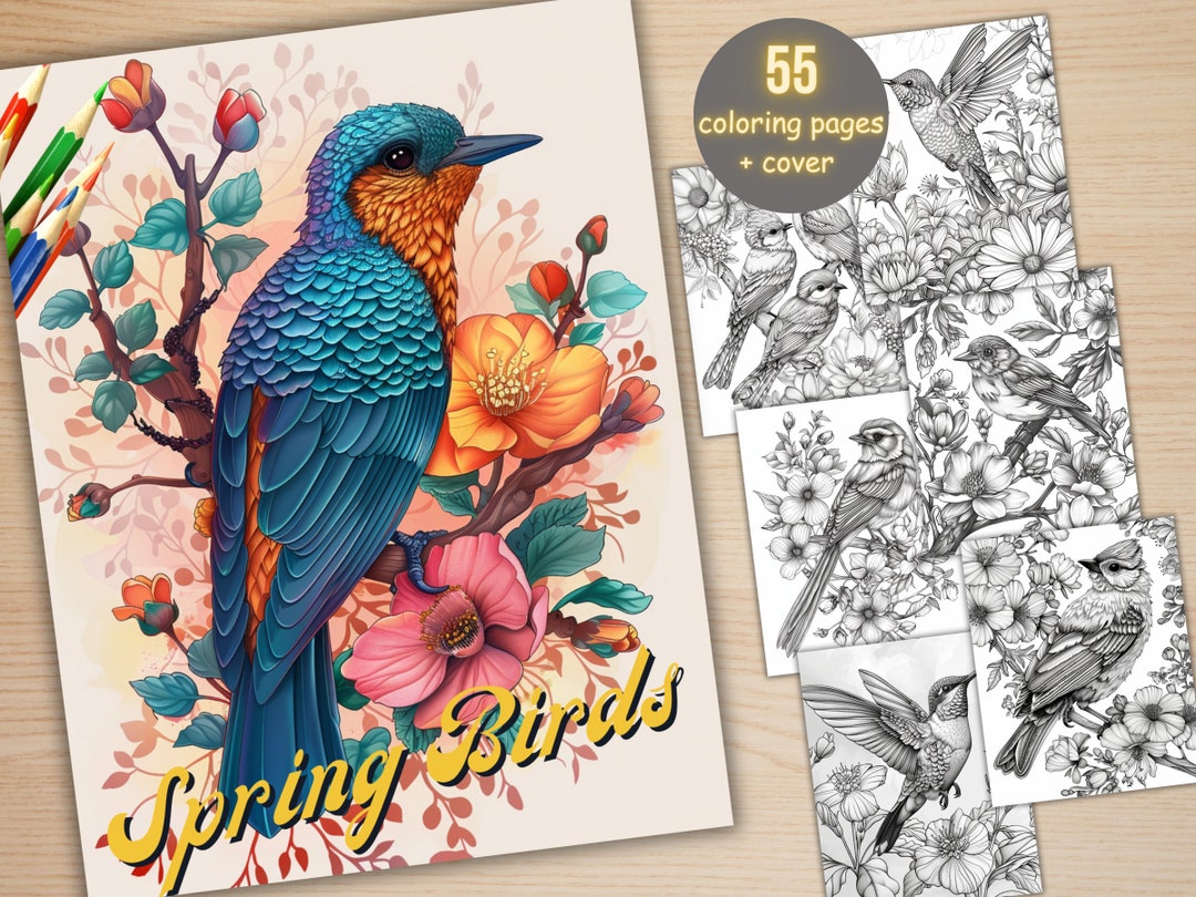55 Spring Birds Coloring Book, Printable Floral Hummingbird Coloring ...