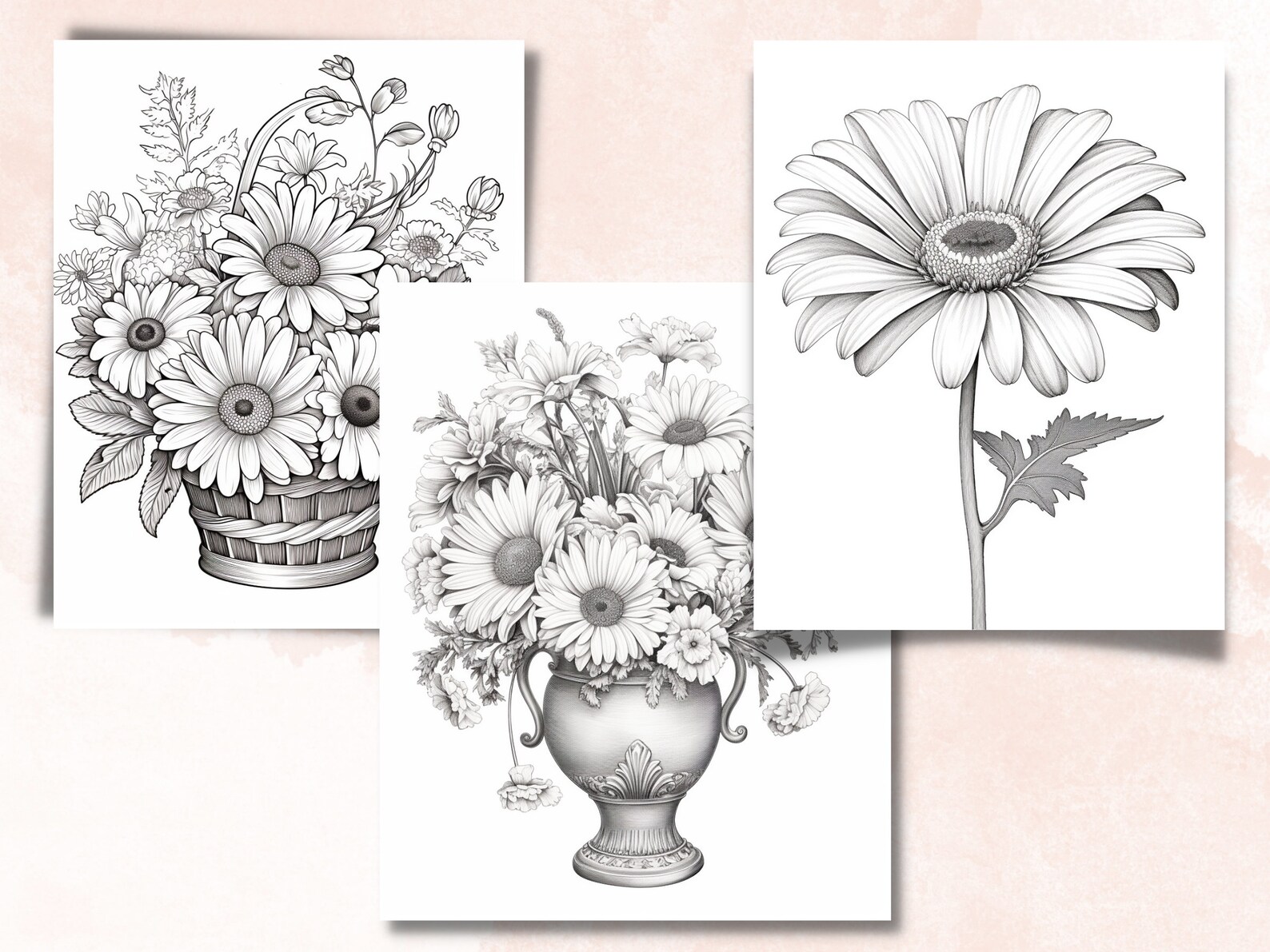 55 Daisy Flowers Coloring Book, Printable PDF, Botanical Floral Plant ...