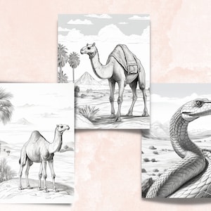 27 Ancient Egypt Mythology Design Coloring Book, Printable PDF, Gods ...