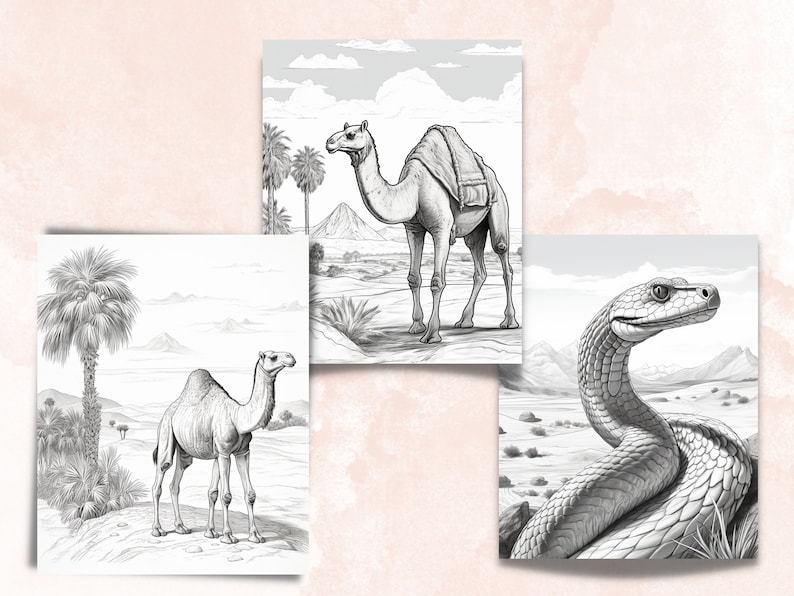 27 Ancient Egypt Mythology Design Coloring Book, Printable PDF, Gods ...