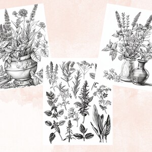 60 Herbs Coloring Book, Printable Enchanted Garden Therapy Coloring ...