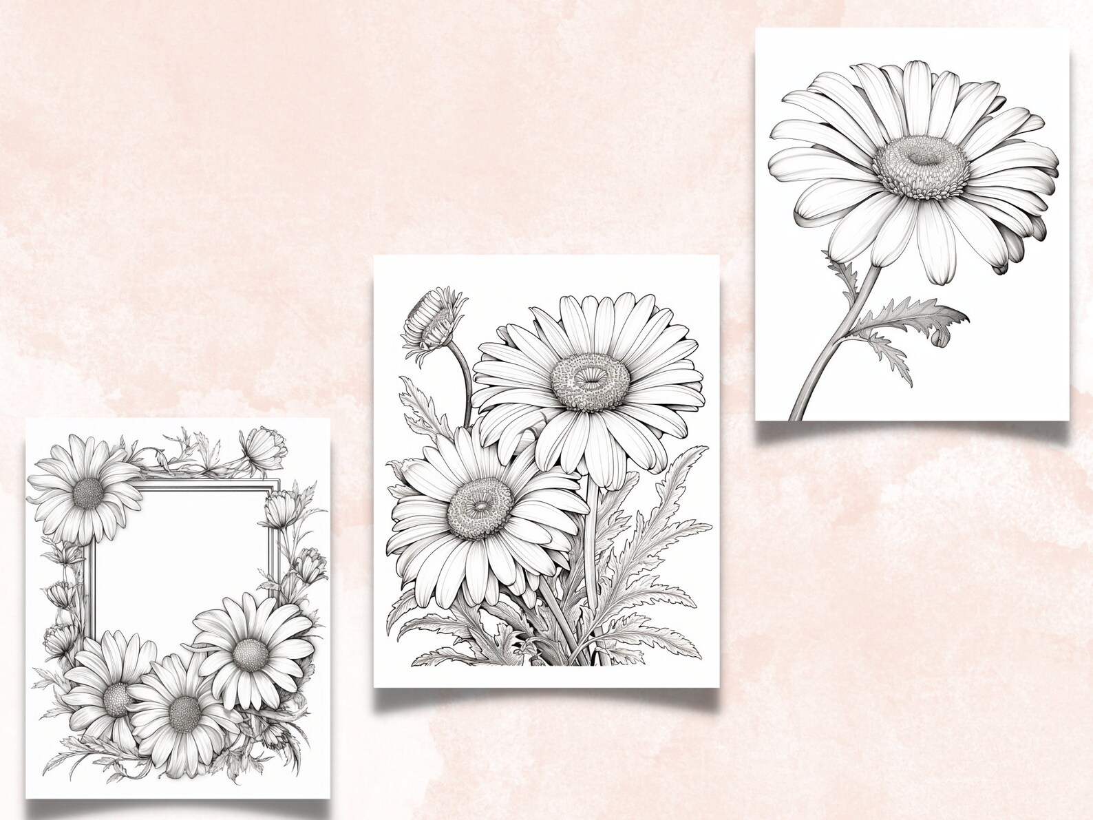 55 Daisy Flowers Coloring Book, Printable PDF, Botanical Floral Plant ...