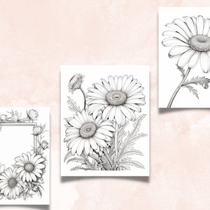 55 Daisy Flowers Coloring Book, Printable PDF, Botanical Floral Plant ...