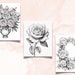 70 Rose Coloring Book, Printable PDF, Botanical Floral Plant Coloring ...