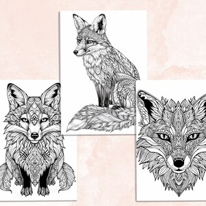30 Fox Mandala Coloring Book, Printable Stress Relief Patterns Coloring ...