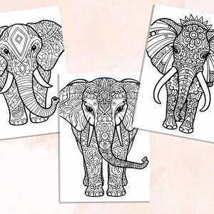 30 Elephant Mandala Coloring Book, Printable Stress Relief Patterns ...