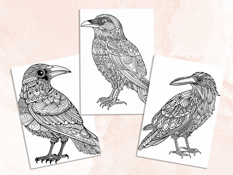 30 Crow Mandala Coloring Book, Printable Stress Relief Patterns ...