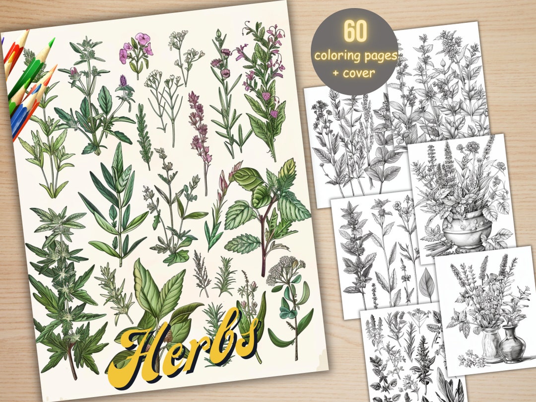 60 Herbs Coloring Book, Printable Enchanted Garden Therapy Coloring ...
