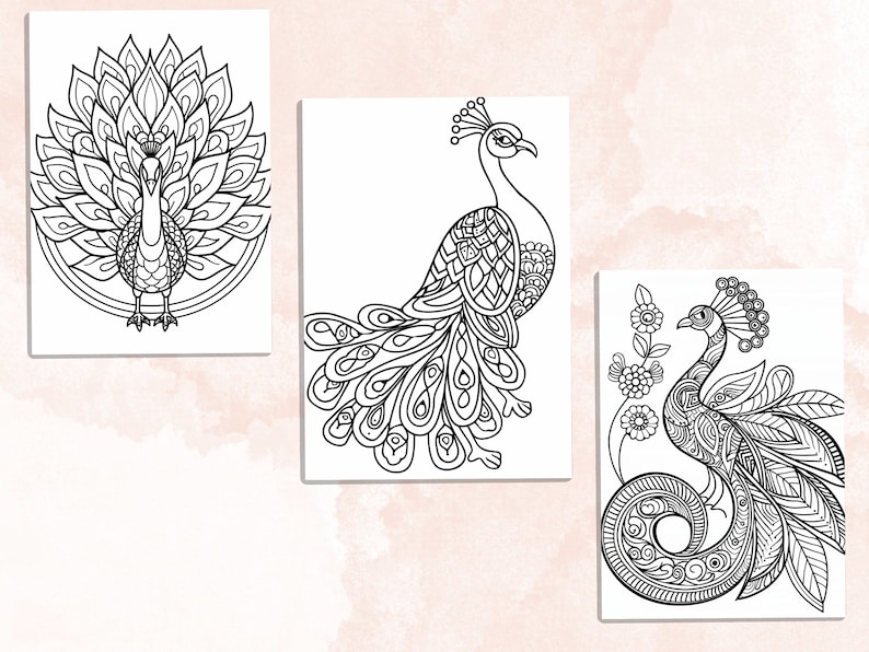 30 Peacock Mandala Coloring Book, Printable Stress Relief Patterns ...