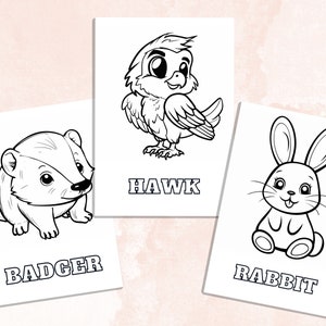 Educational Woodland Animals Coloring Book, Preschool Activity Coloring ...