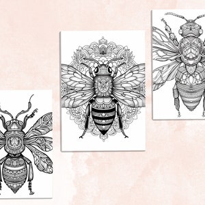 30 Bee Mandala Coloring Book, Printable Stress Relief Patterns Coloring ...