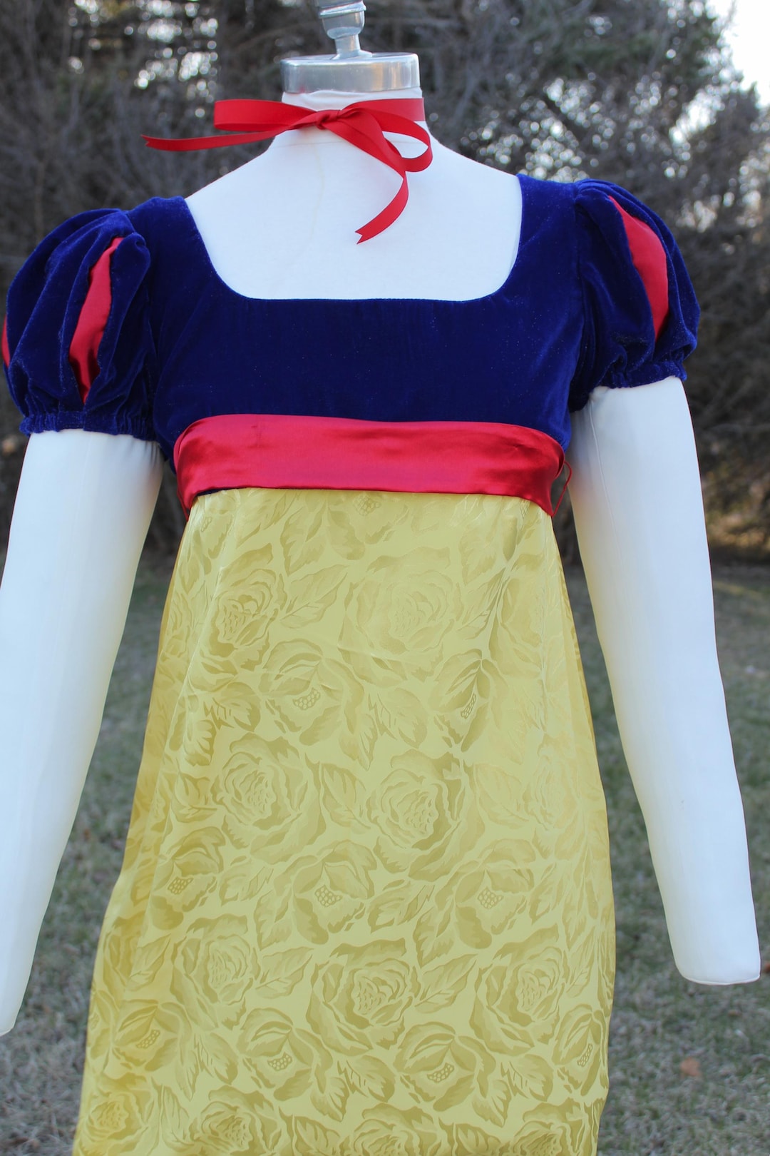 Snow White Regency Dress Inspired Bridgeton - Etsy