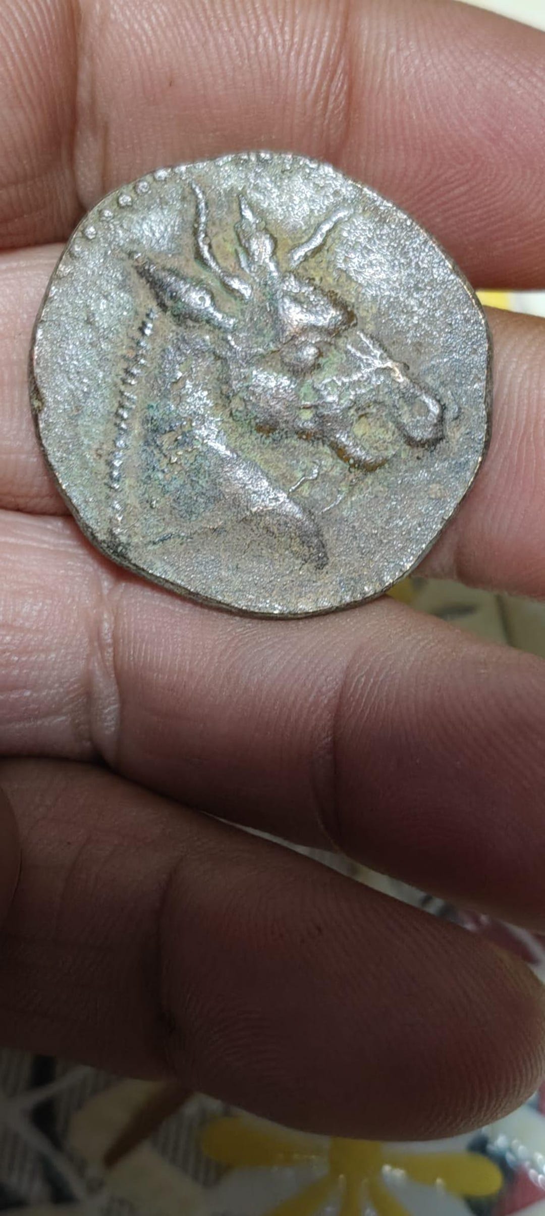 Reproduction of the Greek Seleucid Coin - King Antiochus I - Elephant ...
