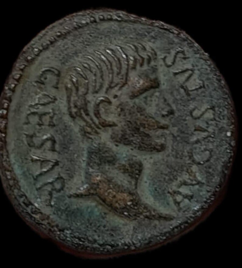 Roman Imperial Augustus Coin - Replica Hippo Regius With Gaius and ...