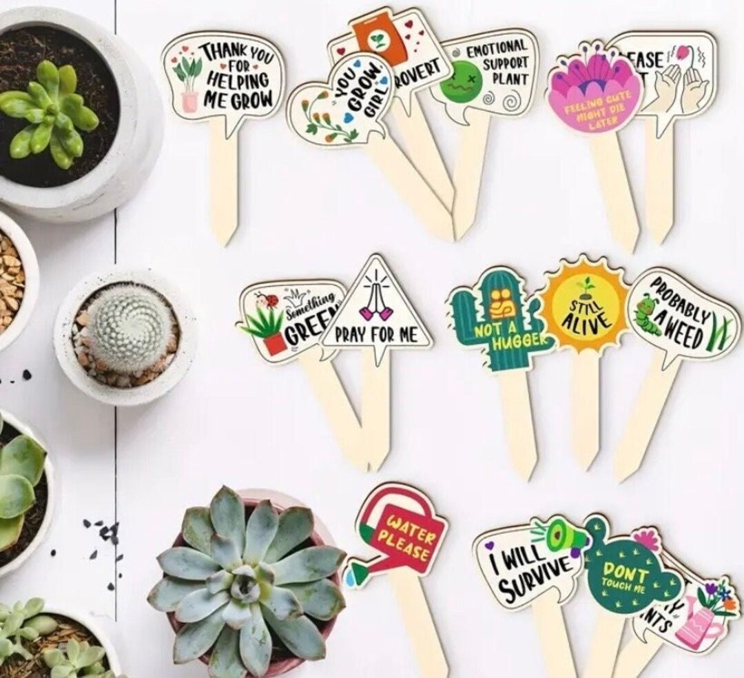 Plant Markers Funny Plant Crazy Plant Lady Wooden Plant Marker Sarcastic Plant Plant Gift Plant ...