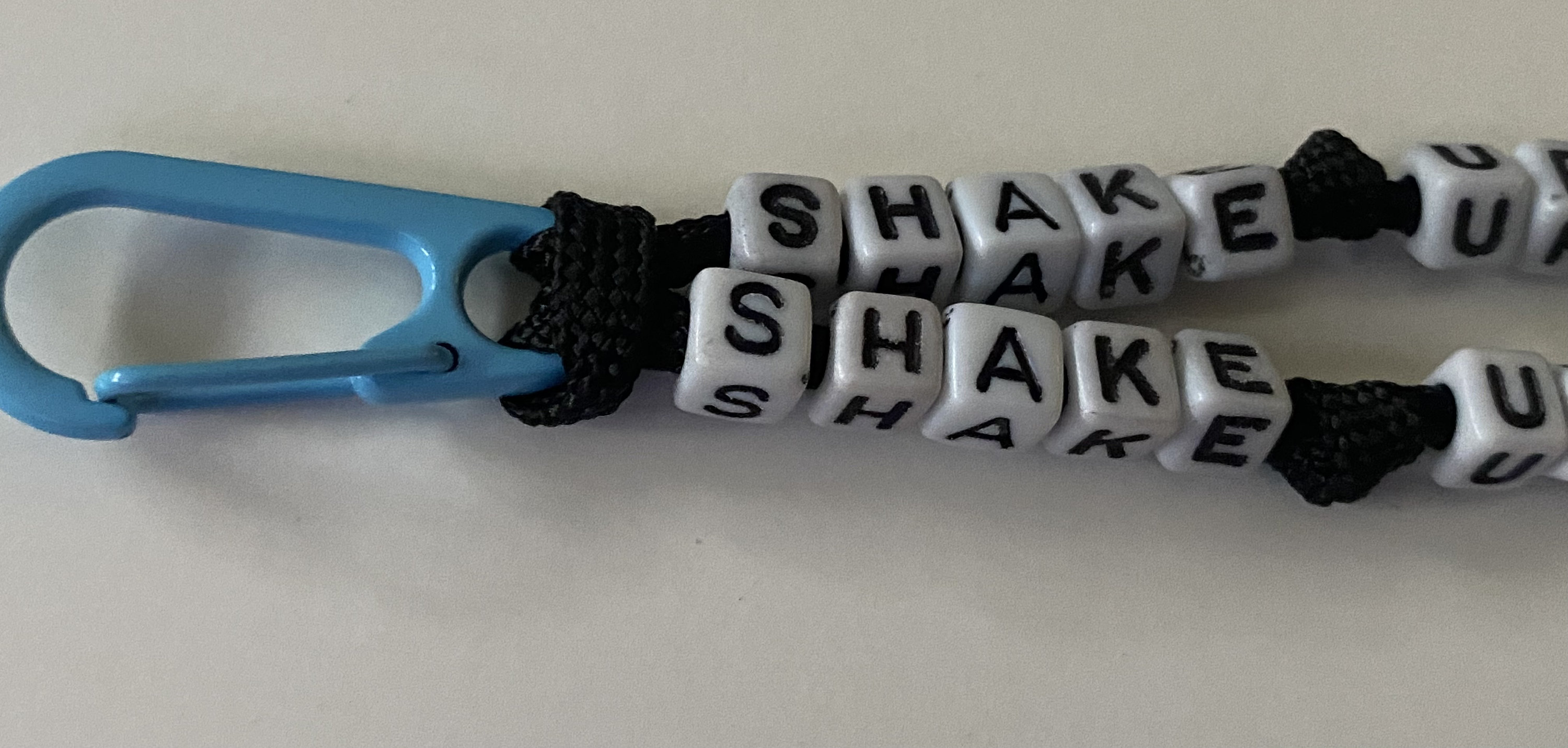 Shake up Your Bones Shake up Your Feet Dave Matthews Band Keychain - Etsy