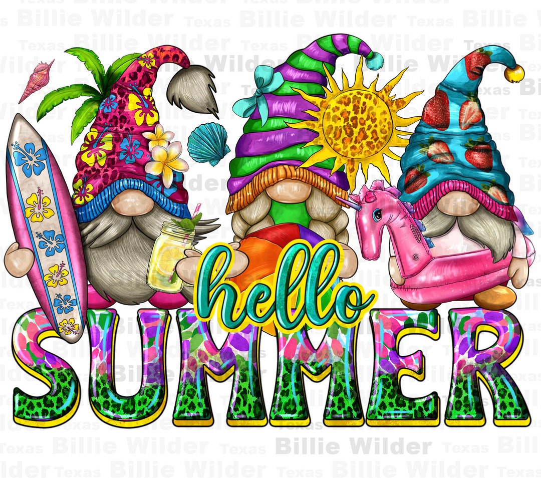 Summer Gnomes Png Sublimation Design Download, Hello Summer Png, Gnomes ...