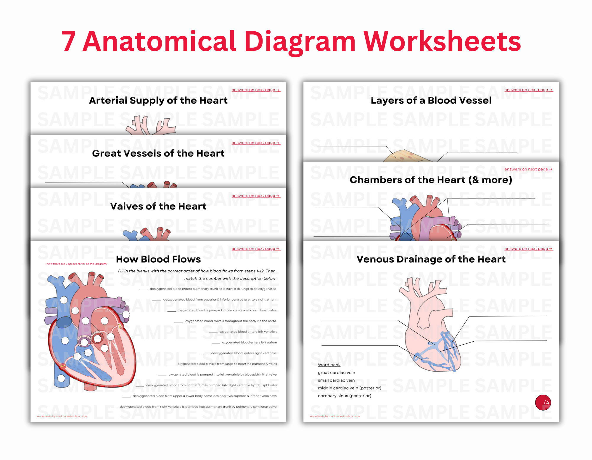 Cardiovascular System Workbook ~ Digital Cardiology Hematology ...