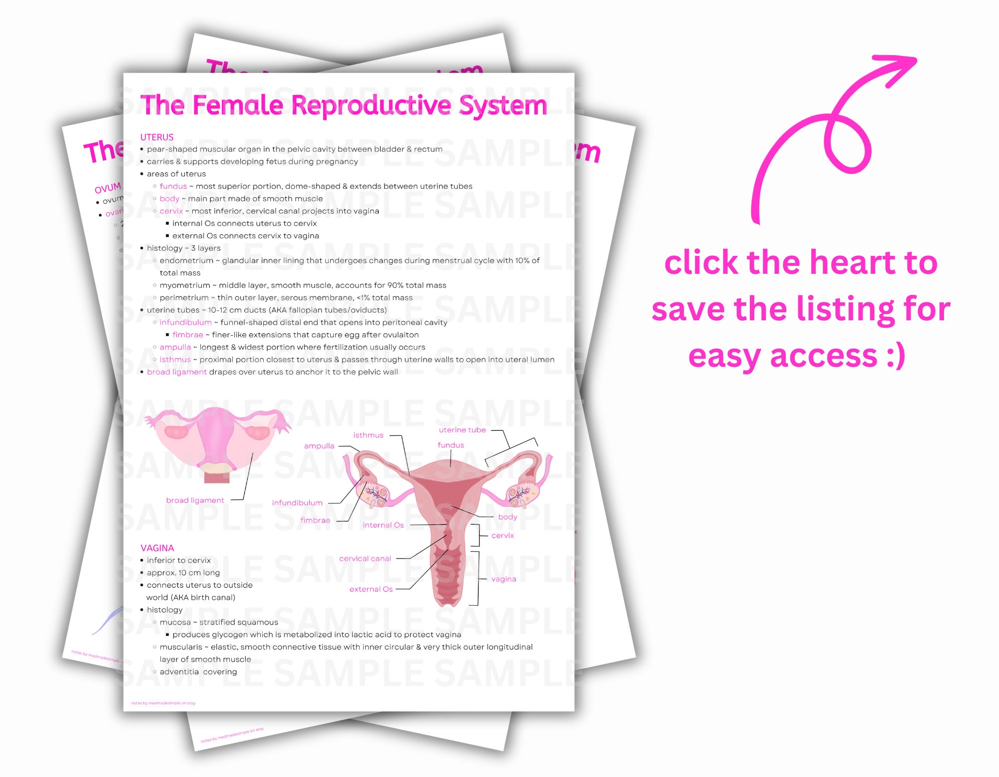 Reproductive System Notes: Anatomy Diagrams Cheat Sheet (PDF Download ...