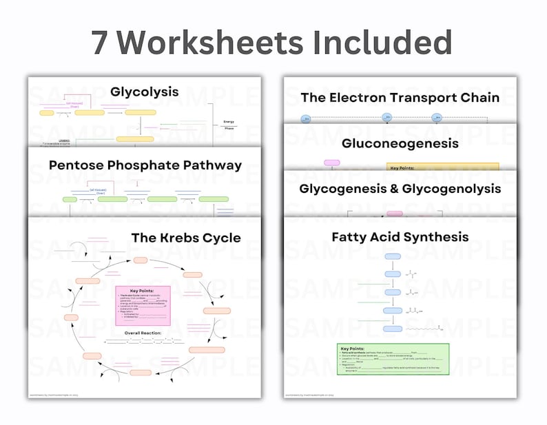 Metabolic Pathways Workbook: Glycolysis, Krebs Cycle (digital Download ...
